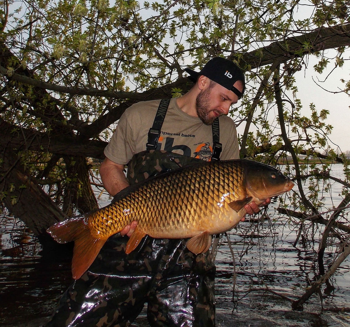 Imperial Baits T-shirt "The Art of Bait" clothing for carp fishing ...